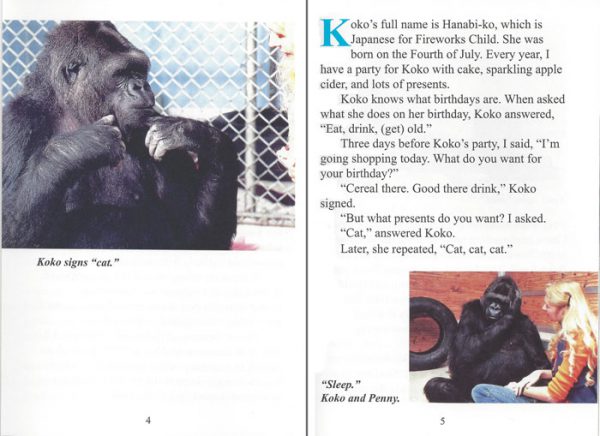 Koko's Kitten (paperback) - The Gorilla Foundation