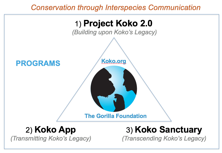 Mission - The Gorilla Foundation