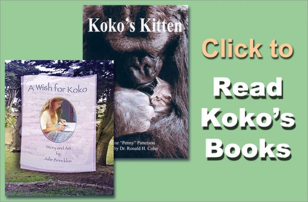 Kids4Koko Home - The Gorilla Foundation