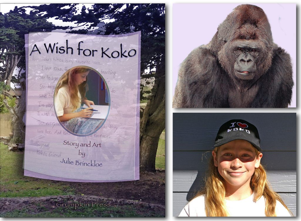 Read about Koko / A Wish for Koko / Landing Page7 / - The Gorilla ...
