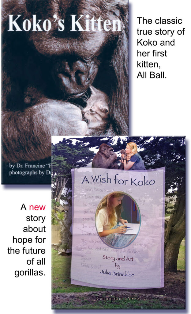 Read about Koko - The Gorilla Foundation