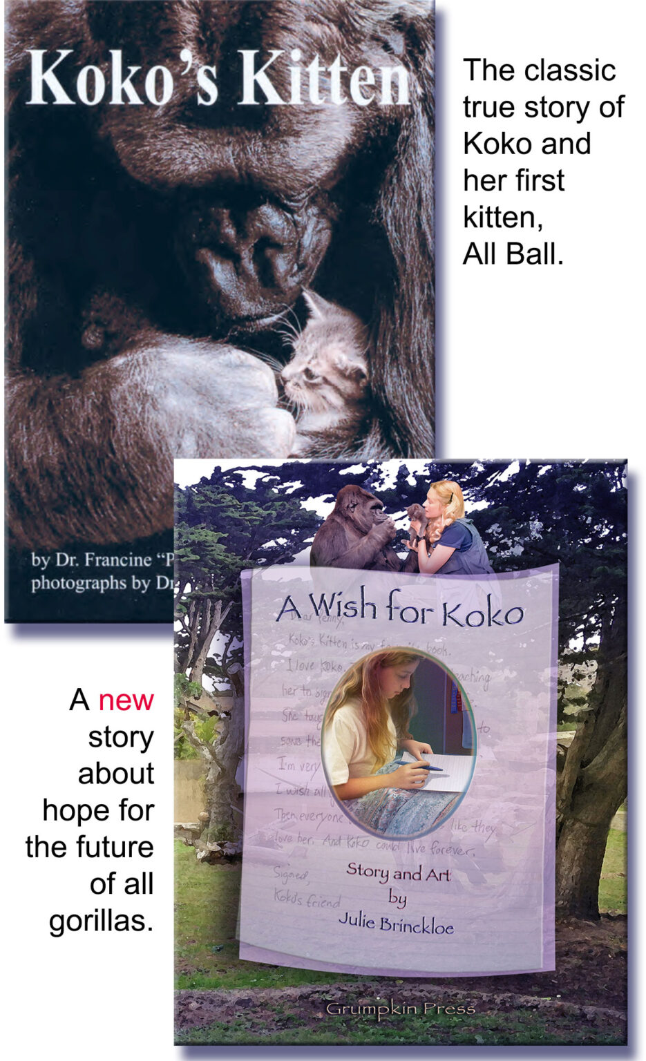 Read about Koko - The Gorilla Foundation