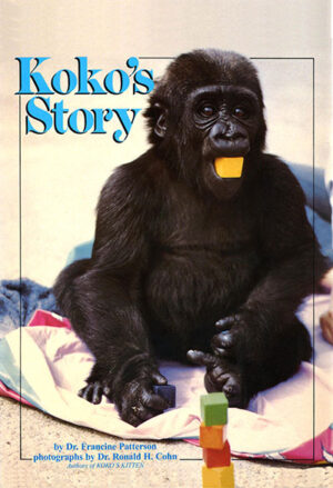 Read about Koko - The Gorilla Foundation