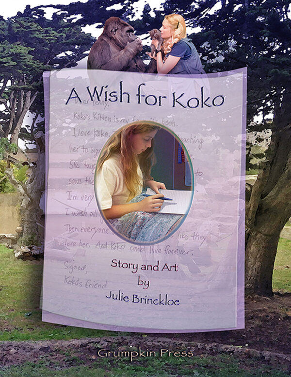 Read about Koko / A Wish for Koko / FlipBook / Chapter1 - The Gorilla ...