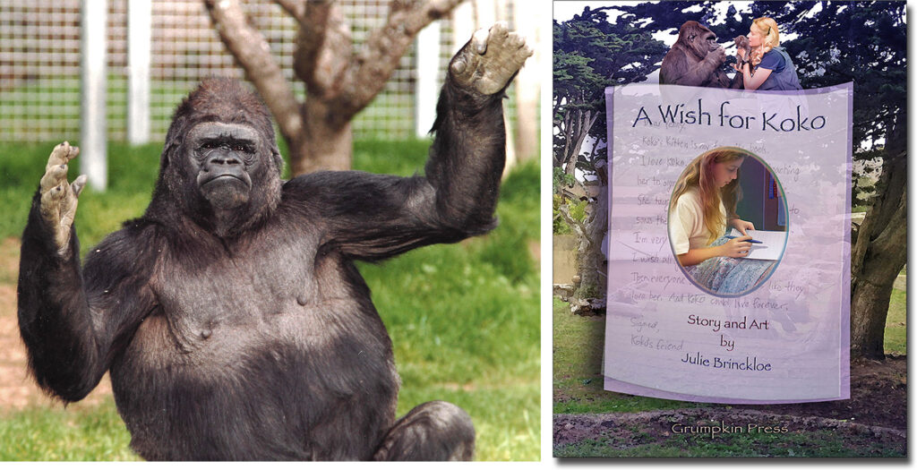 Read about Koko / A Wish for Koko / Landing Page / Book - The Gorilla ...