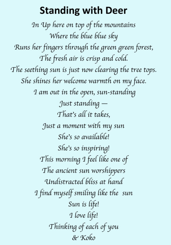 Poem: Standing with Deer - The Gorilla Foundation
