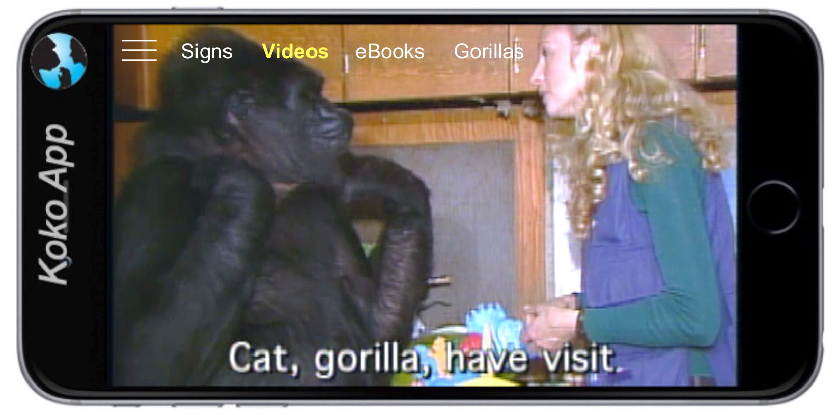 Help Create the "Koko App" - The Gorilla Foundation