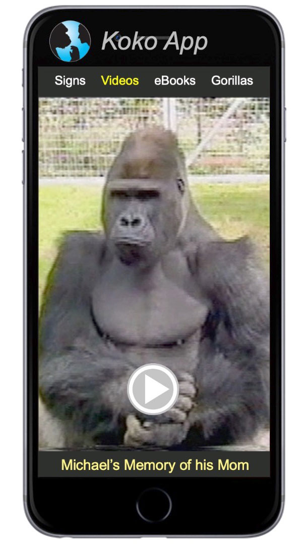 Help Create the "Koko App" - The Gorilla Foundation