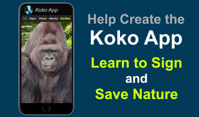 The Gorilla Foundation – Conservation Through Communication