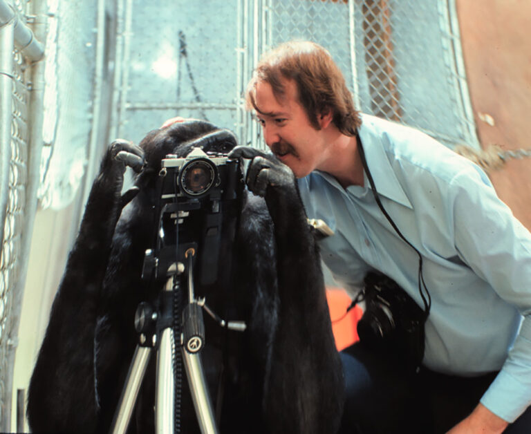 A Tribute to Ronald H. Cohn [1943-2022] - The Gorilla Foundation