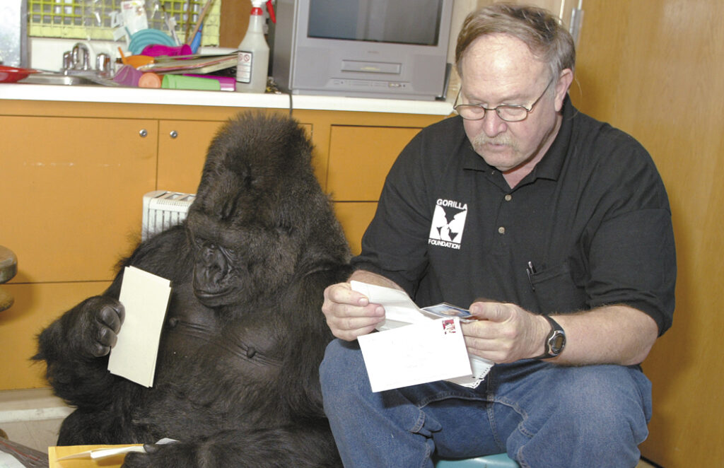 A Tribute to Ronald H. Cohn [1943-2022] - The Gorilla Foundation