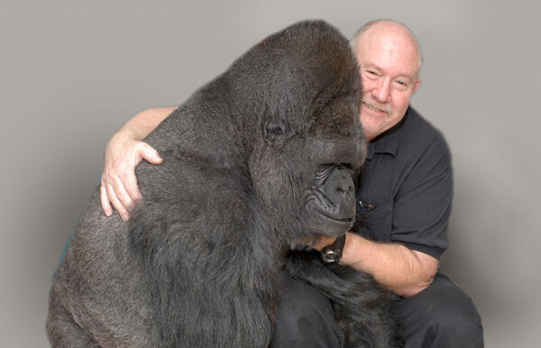 Home 2022 - The Gorilla Foundation