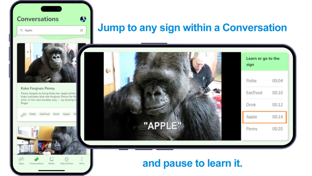 Koko Signs App Email 2 Video