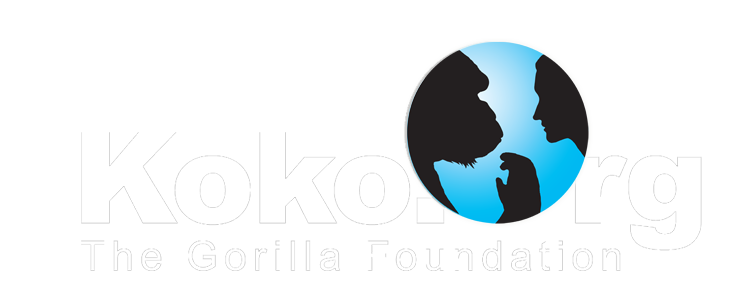 Young Koko and Kate (VIDEO)