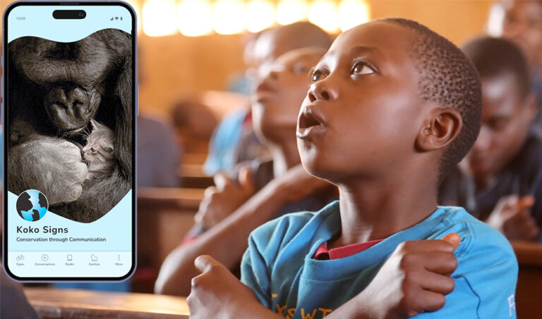 Koko.org - The Gorilla Foundation