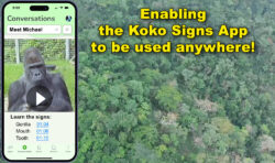 Koko.org - The Gorilla Foundation