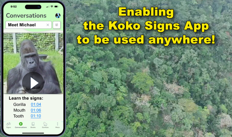 Koko.org - The Gorilla Foundation